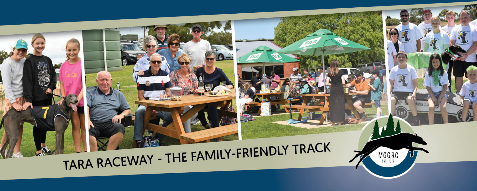 $500,000 boost for SA greyhound racing | Mount Gambier Greyhound Racing ...