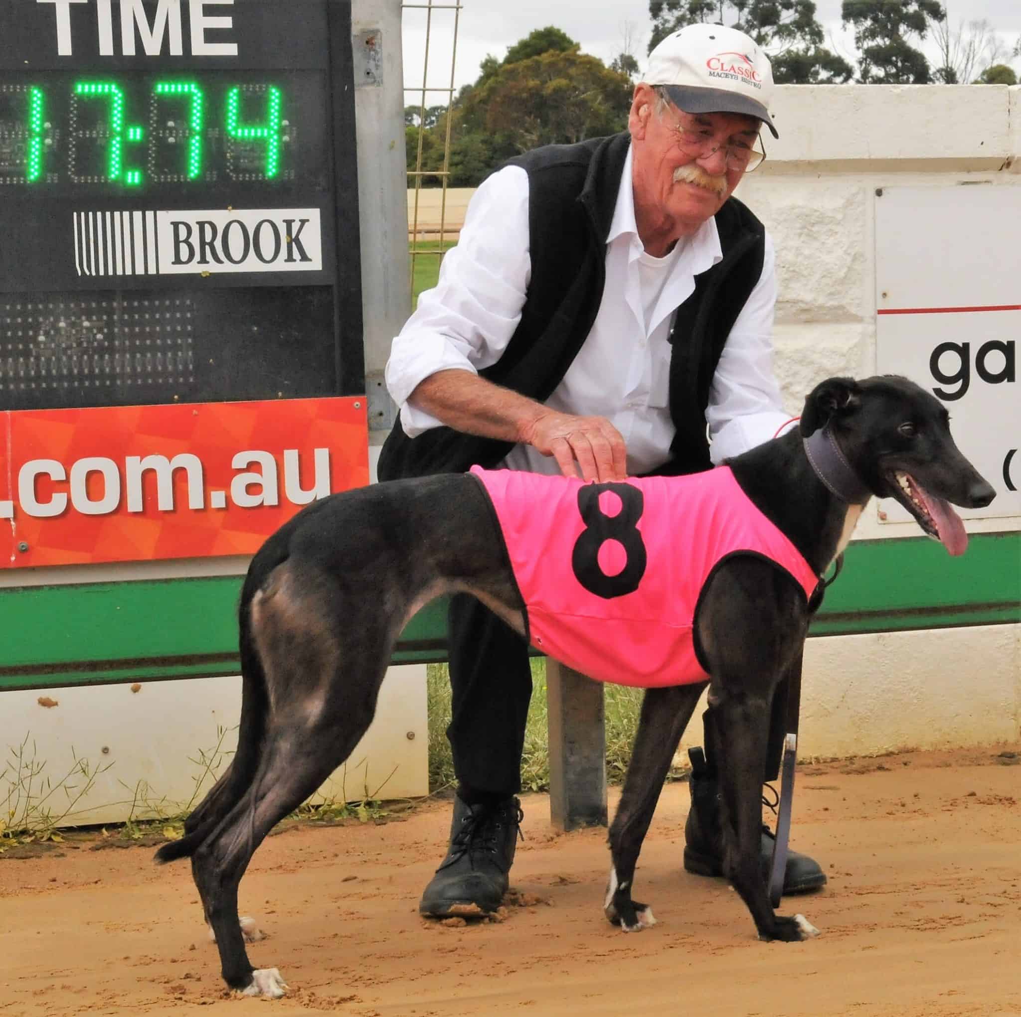 Monty makes up for lost time | Mount Gambier Greyhound Racing Club