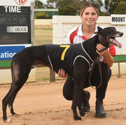 Mount Gambier Greyhound Racing Club