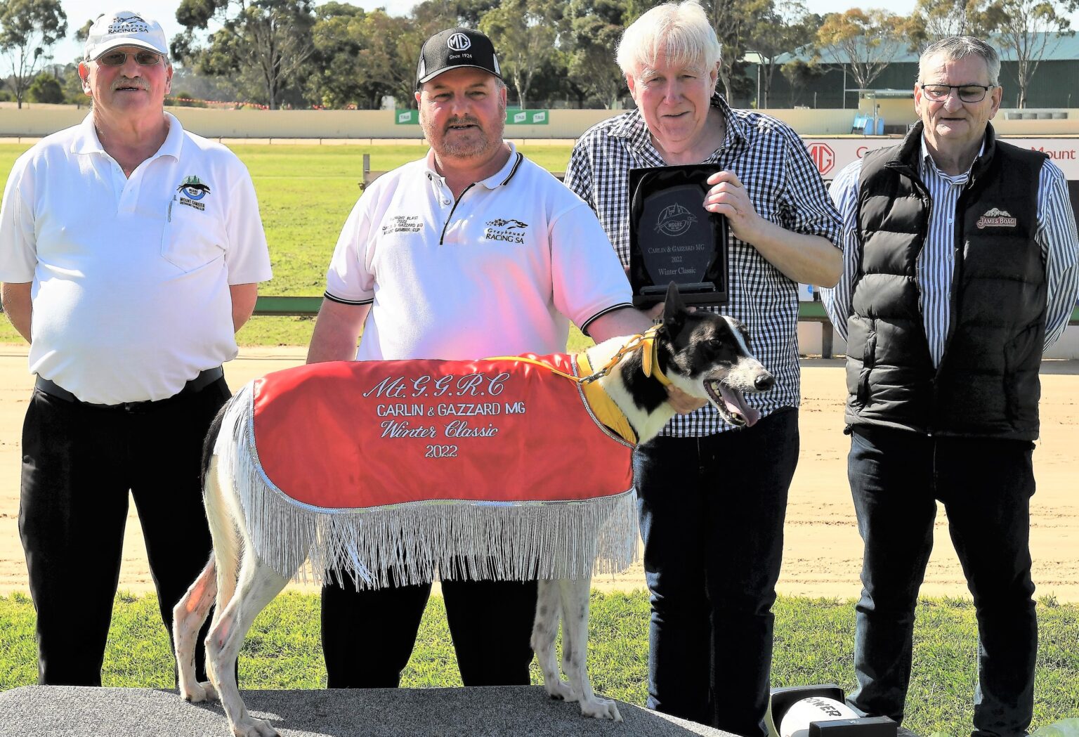 Another record-breaking day at Tara Raceway | Mount Gambier Greyhound ...