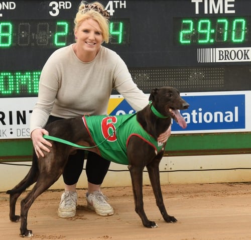 Victa Grosso’s winning run continues | Mount Gambier Greyhound Racing Club
