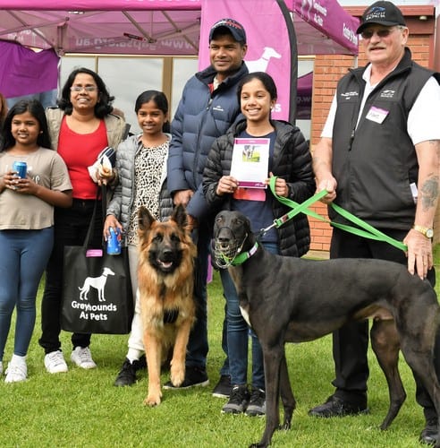 Greyhound adoption – GAP SA does it pretty well | Mount Gambier ...