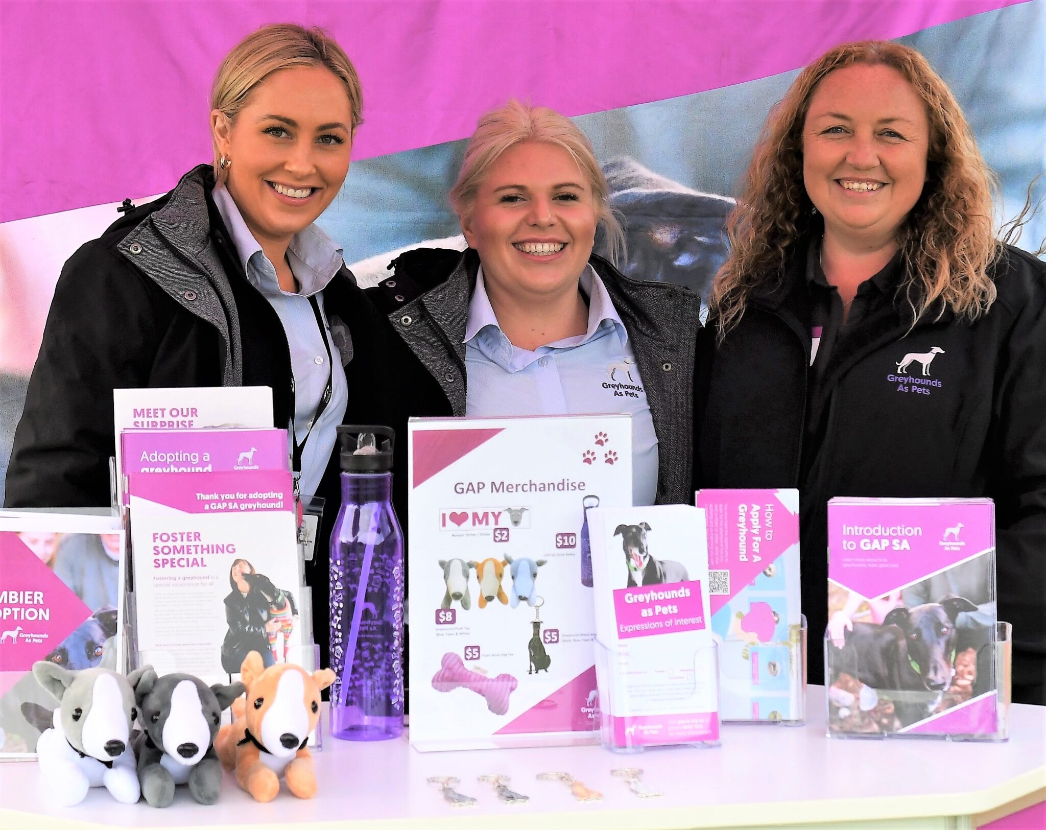 Greyhound adoption – GAP SA does it pretty well | Mount Gambier ...