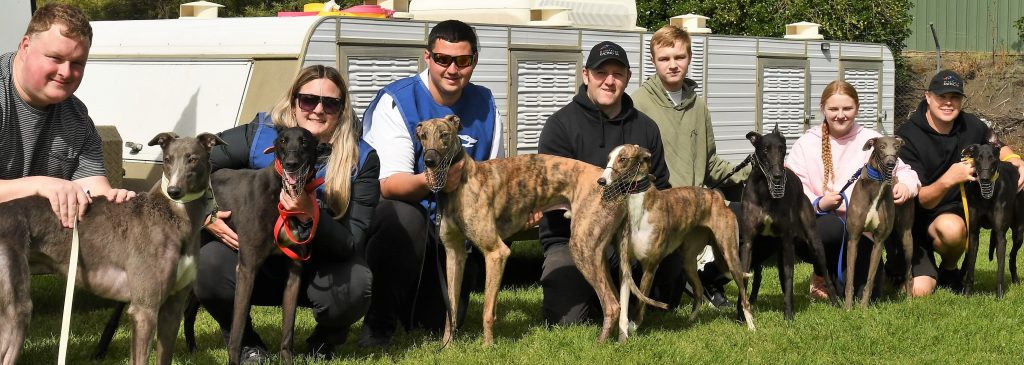 Trengove team out in force at Tara Raceway | Mount Gambier Greyhound ...