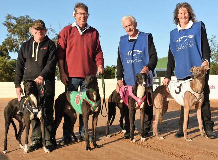 The Captain rocks at the raceway | Mount Gambier Greyhound Racing Club
