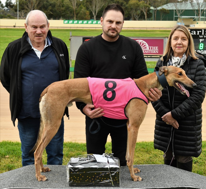 A smashing win in the memorial | Mount Gambier Greyhound Racing Club