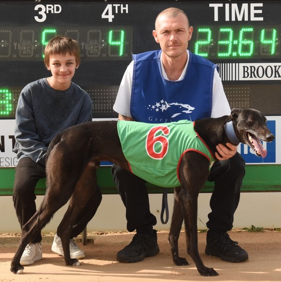 Enigmatic greyhound and trainer combine for top win | Mount Gambier ...