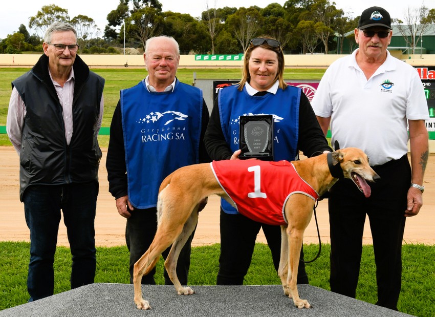 Honey Rocks finds herself in the right place at the right time | Mount ...